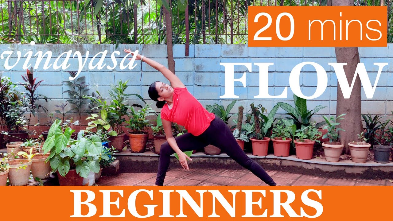 Vinayasa Yoga for Beginners | Strength & Flexibility | 20 Minute ...