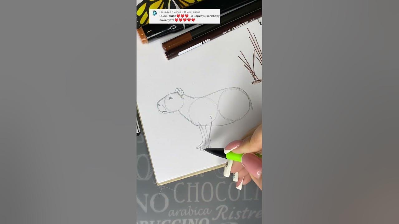 Как нарисовать капибару Art рисунок рисуем рекомендации Top