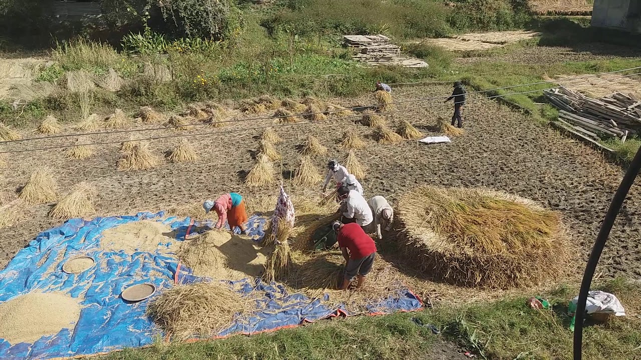 Agriculture Technology in Nepal - YouTube