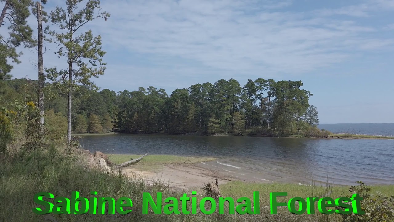 Short overview Sabine National Forest - YouTube