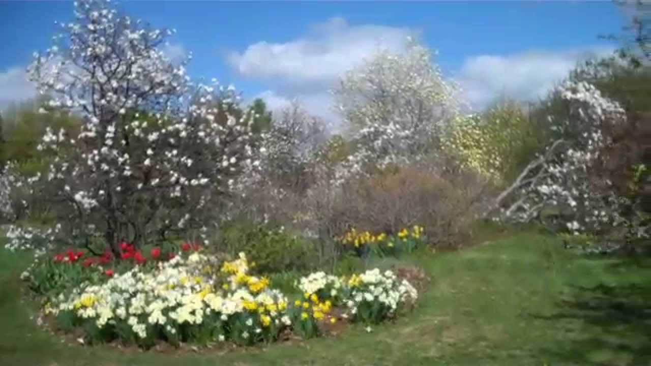 Lyle Littlefield Garden May 13 - YouTube