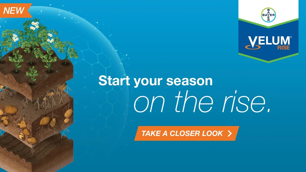 Velum Rise: Start Your Season on the Rise - YouTube