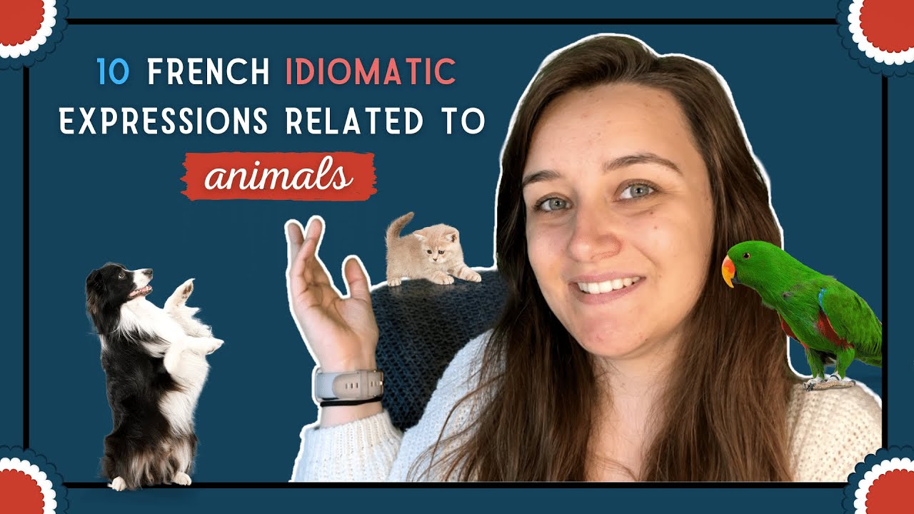 10 French idiomatic expressions related to animals - YouTube