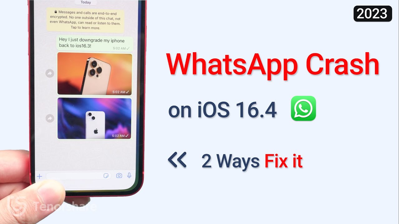 Newest IPhone WhatsApp Keep Crashing On IOS 16 4 2 Ways Fix It YouTube Newest IPhone WhatsApp Keep Crashing On IOS 16 4 2 Ways Fix It YouTube