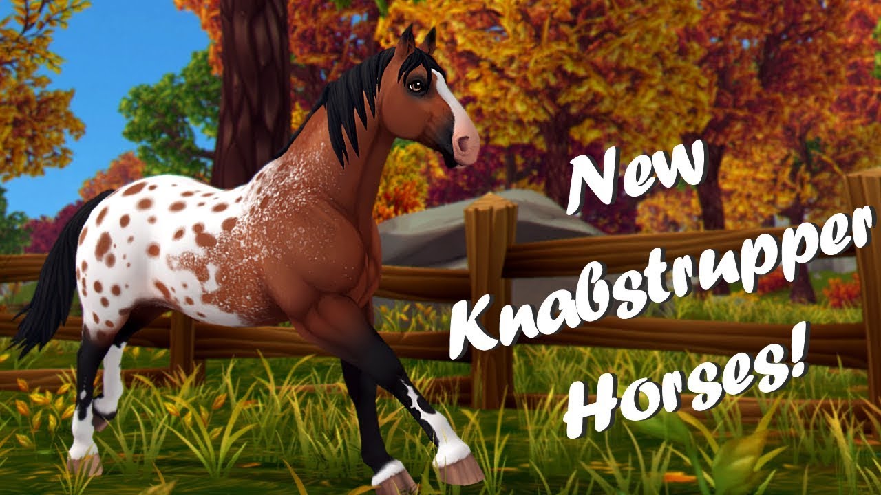 Buying the new knabstrupper [Sso] - YouTube