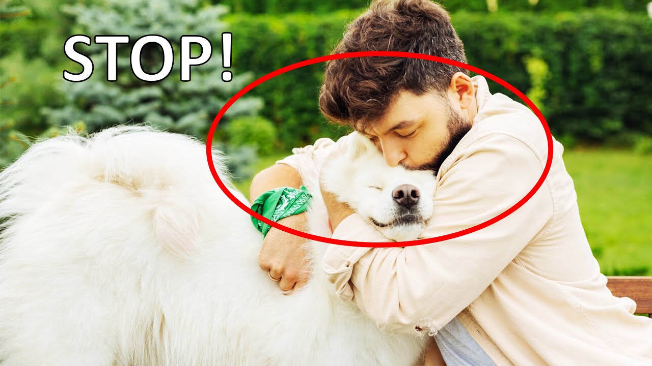 How to Greet Dogs Correctly? Avoid This Common Pitfall! - YouTube