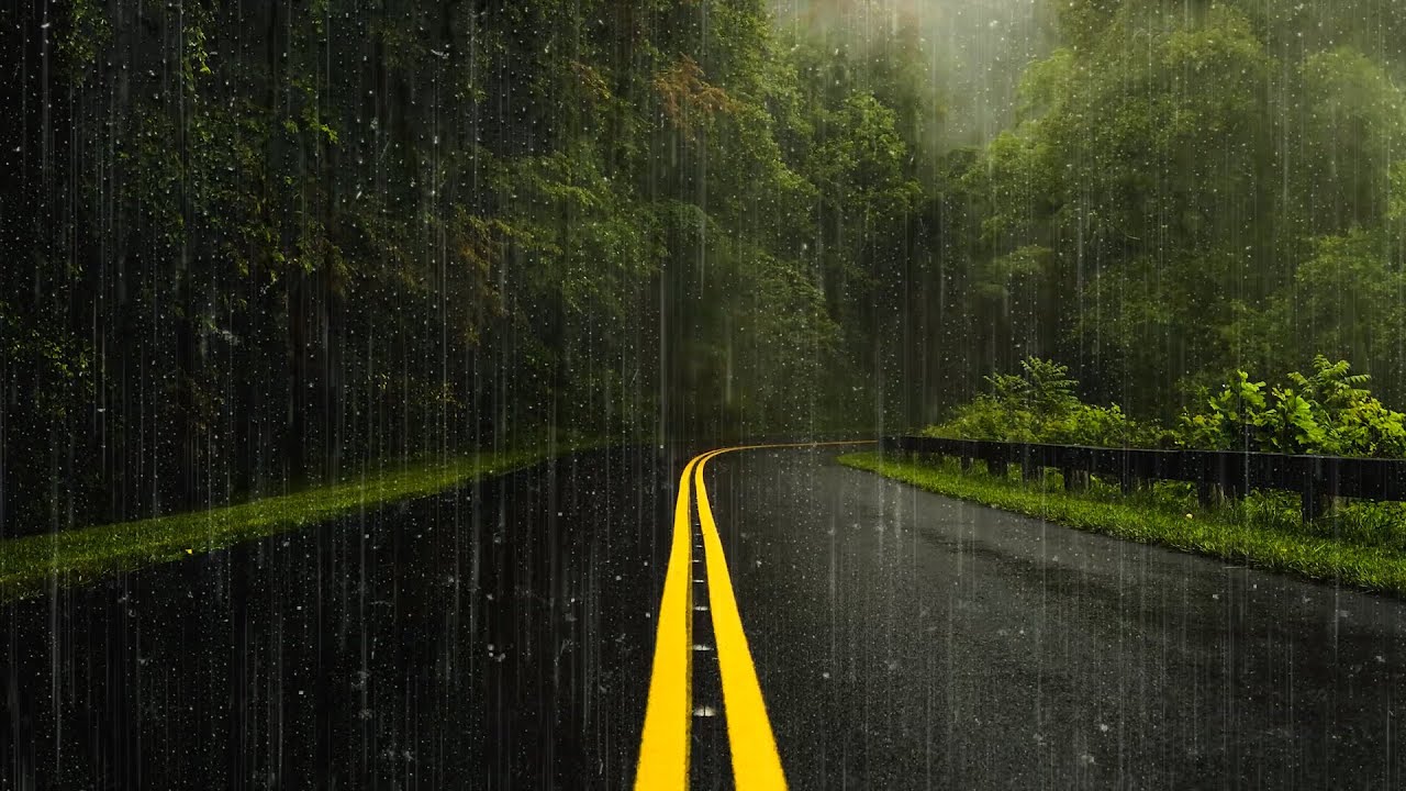 Rain falls on a beautiful bend 🌧️ The sound of falling rain helps you ...