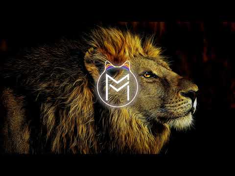 Almebo & Ahxon - Haze【No Copyright Music】