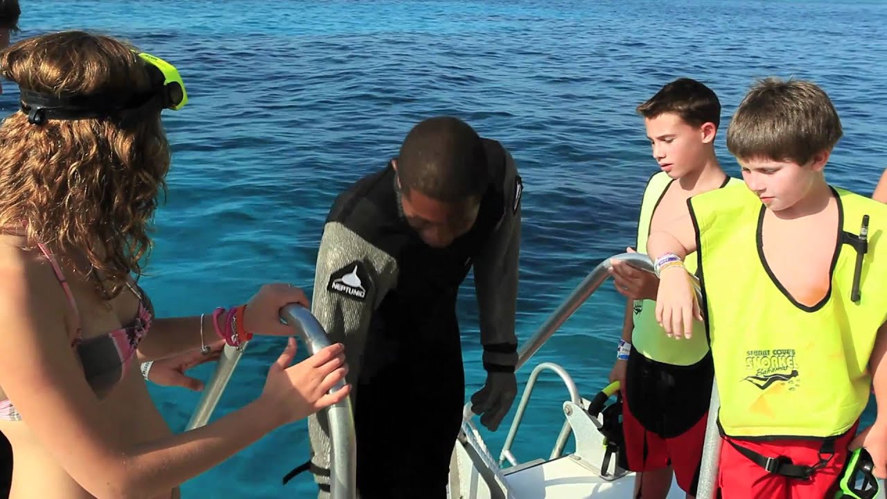 Shark Bites Dive Instructor... Viewer Discretion! - YouTube