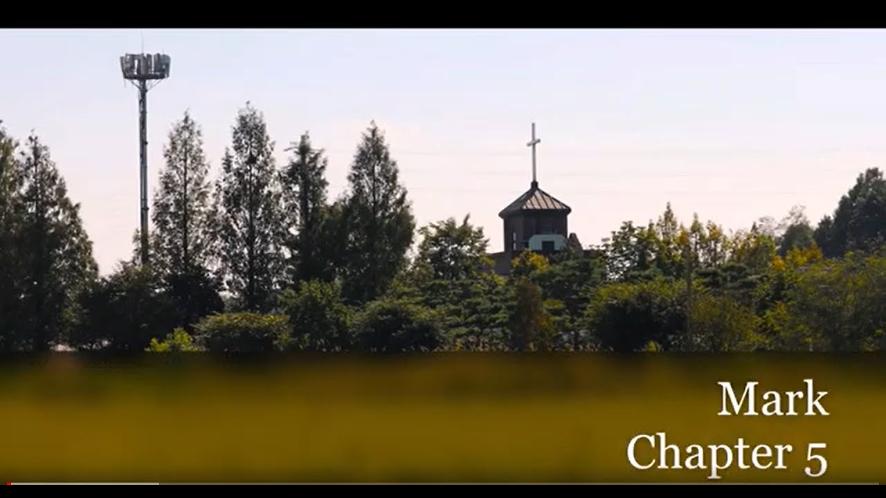 The Book of Mark Chapter 5 - Good News Translation (GNT) - Audio Bible ...
