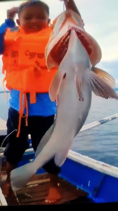 Expensive Grouper 42nd Kawil-up #catch #fishing #sea #fish #satisfying #viralshort #animals ...