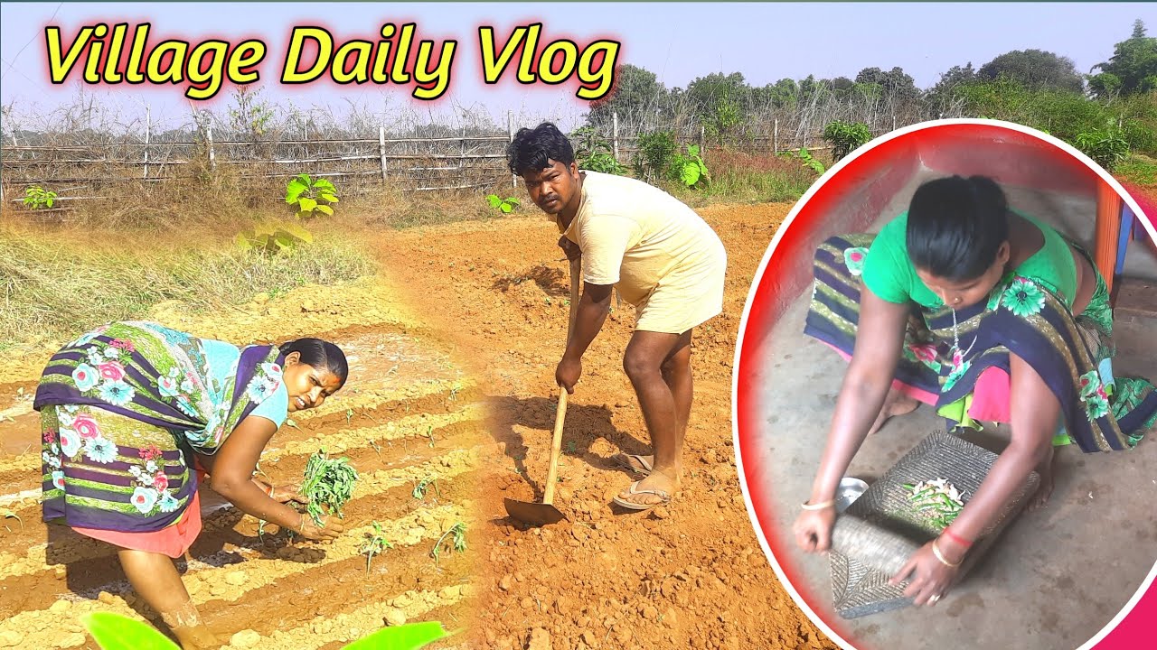 Village couple vlog | village working daily vlog - YouTube
