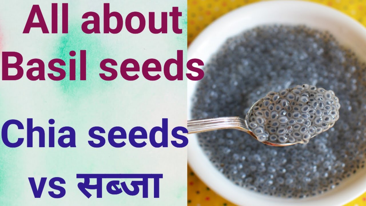 सब्जा के बीज़ के फायदे | All about Basil seeds, Health benefits of ...