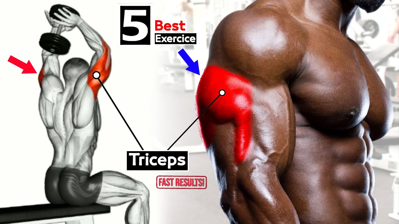 Do The 5 BEST Exercises For TRICEPS | The PERFECT Triceps Workout For ...