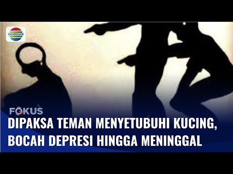 Bocah Laki-laki Dipaksa Temannya Berhubungan Badan dengan Seekor Kucing, Meninggal | Fokus