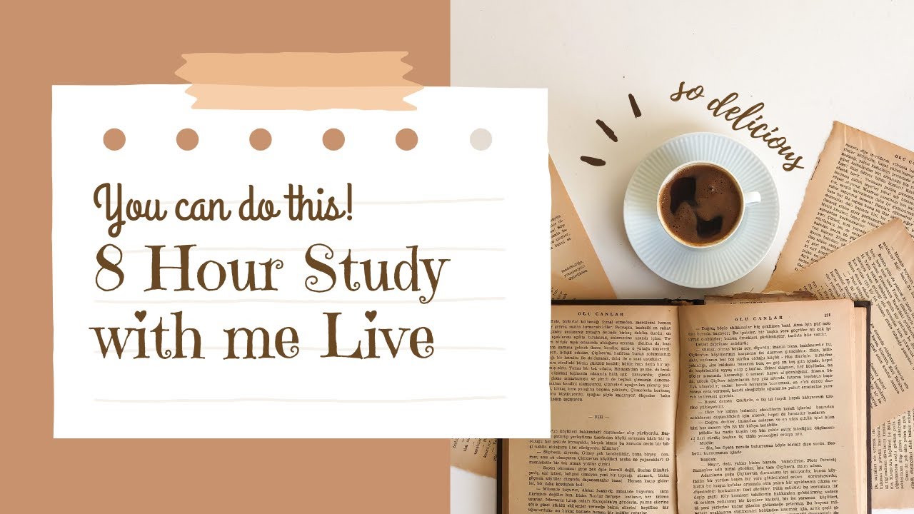 Study Flow: Immersive 8 Hour of Non-stop Study, Background Fire Cracker ...