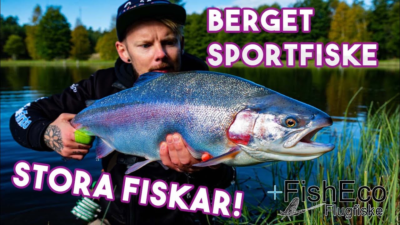 Stora fiskar hos Berget Sportfiske - Flugfiske efter regnbåge - YouTube