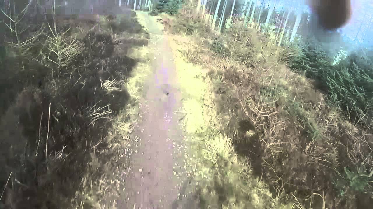 Kirkhill Forest - Fun Park - YouTube