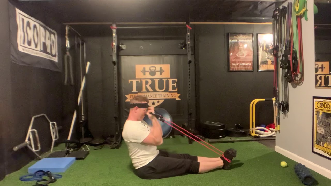 Resistance Band Seated Bicep Curls - YouTube