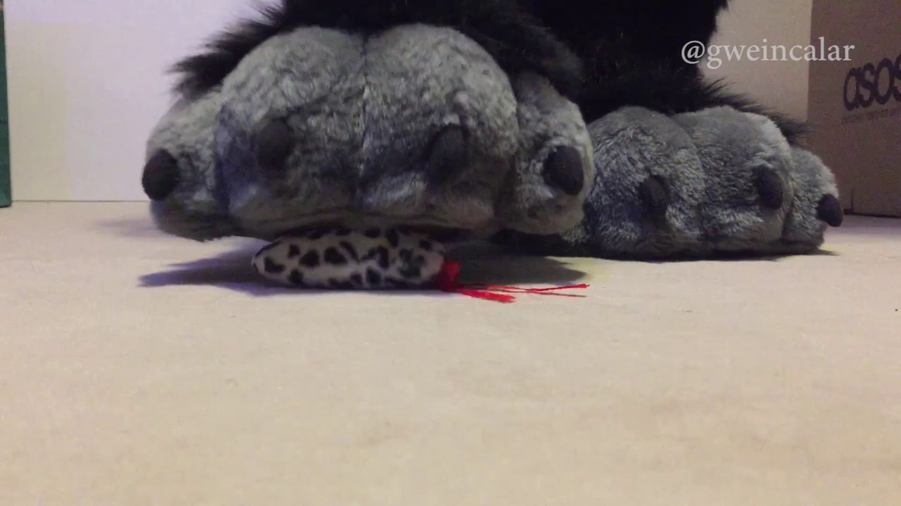 Mouse Stomp - YouTube