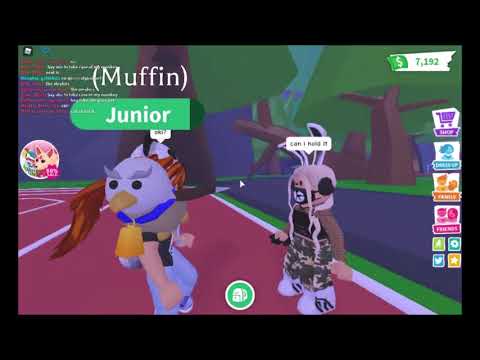 Types of players in adopt me part two! | Roblox adopt me! - YouTube