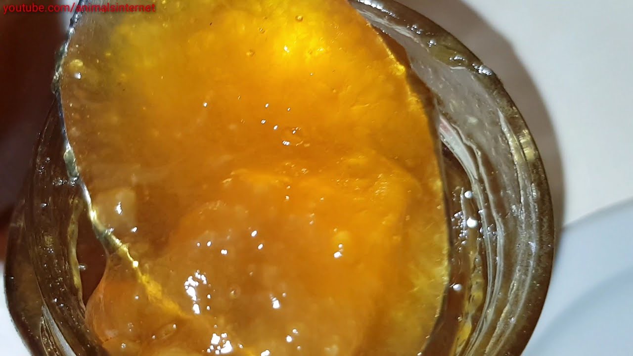 Melon jelly/jam recipe. How to make step by step. Portuguese food. 4K ...