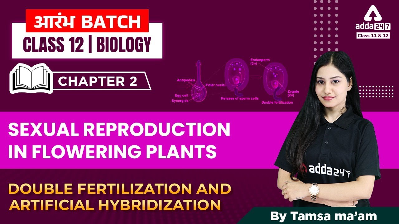 Double Fertilization in Flowering Plants | Artificial Hybridisation ...