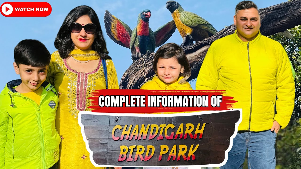 "Full Tour of Chandigarh Bird Park 🦜🌳 | Exploring Exotic Birds & Nature ...