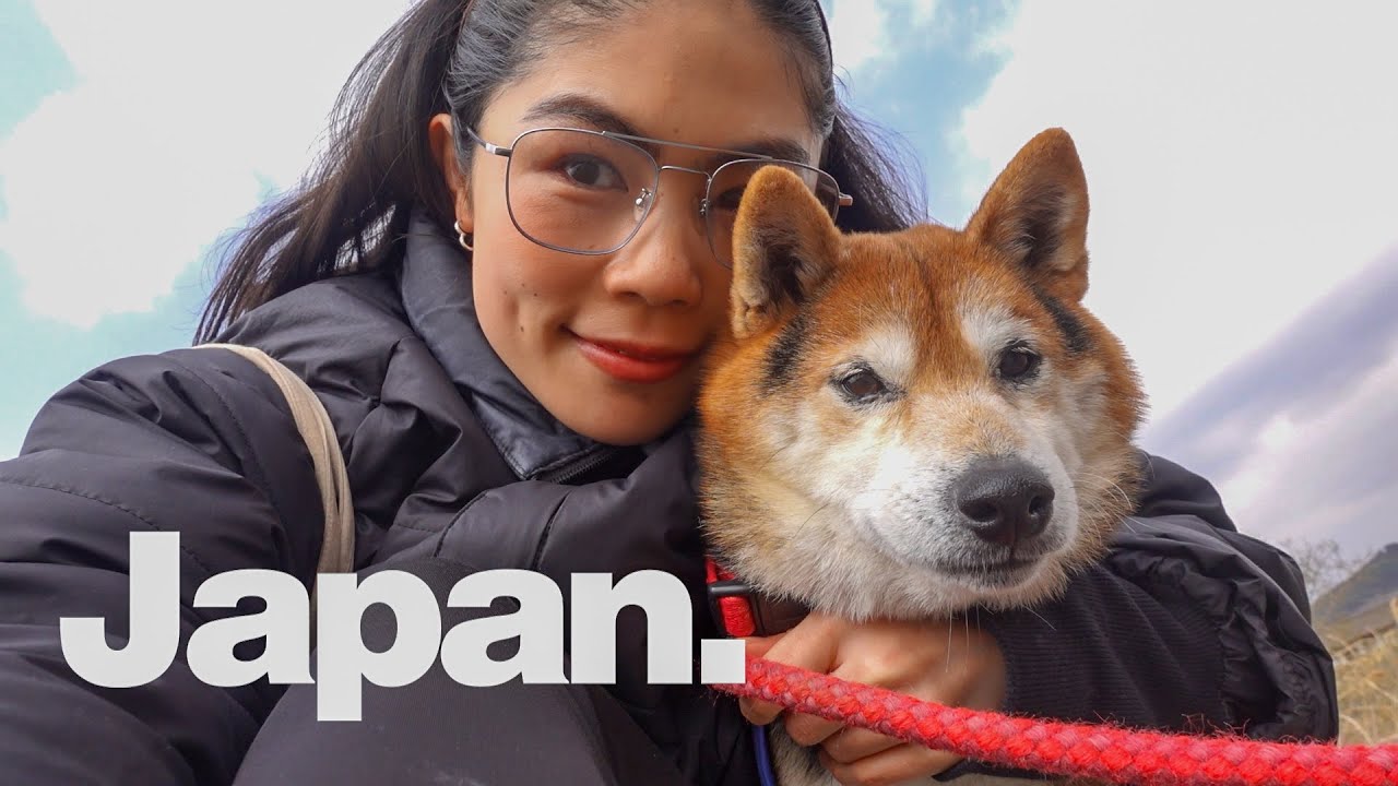 【VLOG】日本に帰りました。 I'm back! 🇯🇵 - YouTube