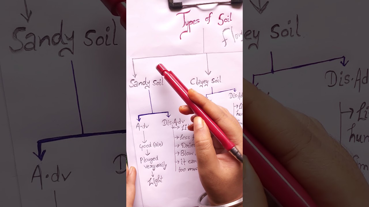Soil Classification Flow Chart Soil Texture And Soil Moisture