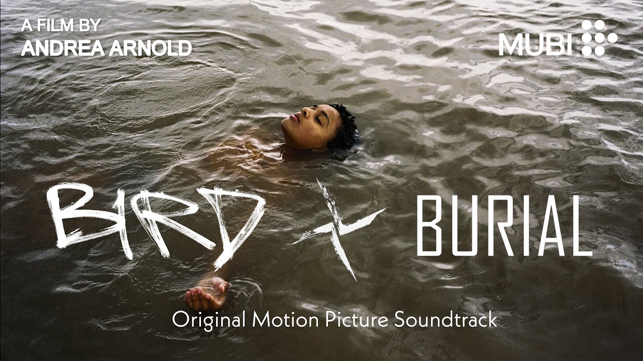 Bird Theme | Bird (2024) Original Motion Picture Soundtrack by Burial ...
