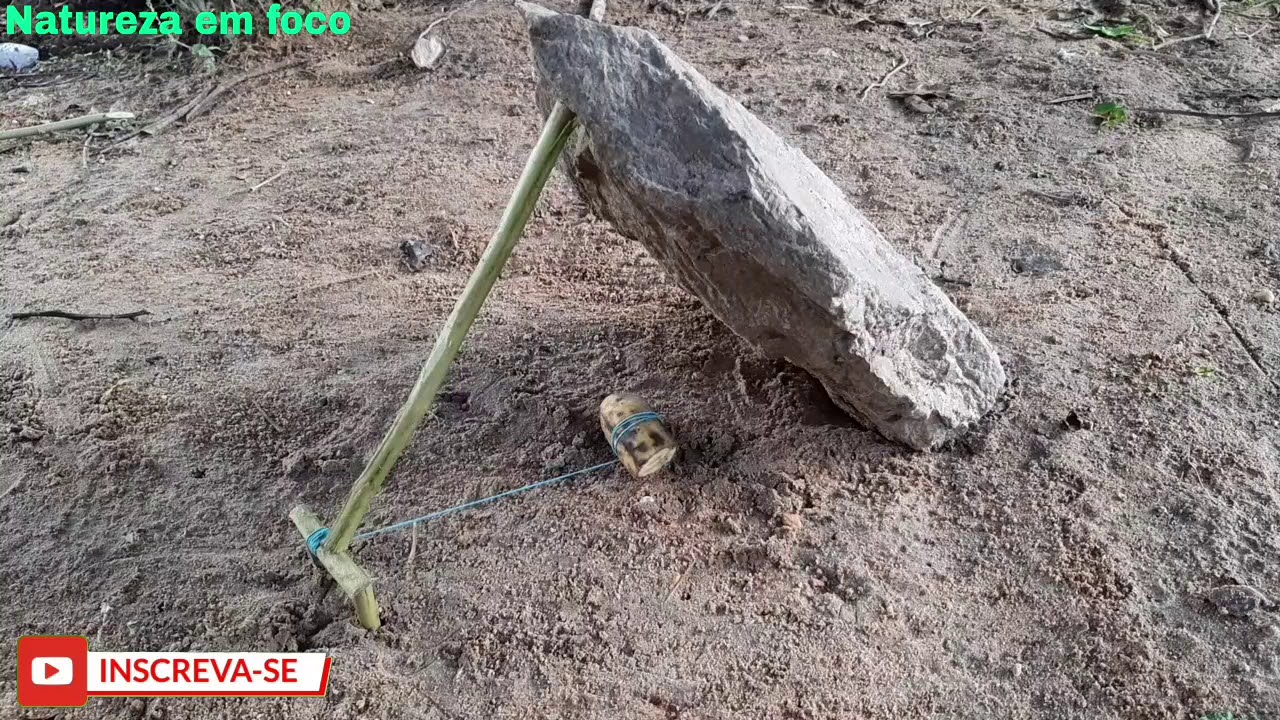 Armadilha primitiva feita com pedra e gravetos - YouTube