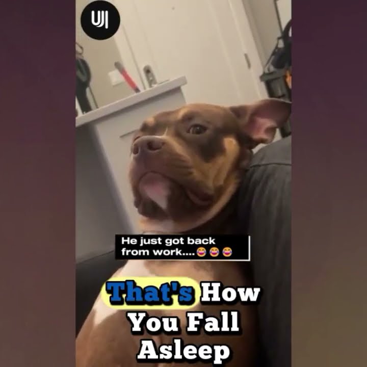 Got back work dank memes, memes that, memes 2021, loud memes, funny ...