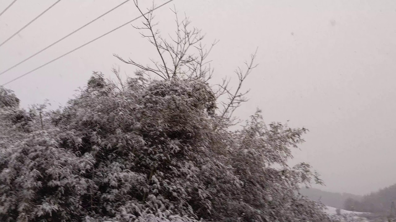It's Snowing finally! ⛄ - YouTube