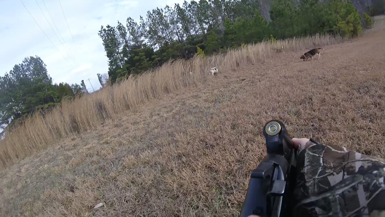 Kids Youth Rabbit Hunting Beagle Hunt Virginia Adventure 2022 Season ...