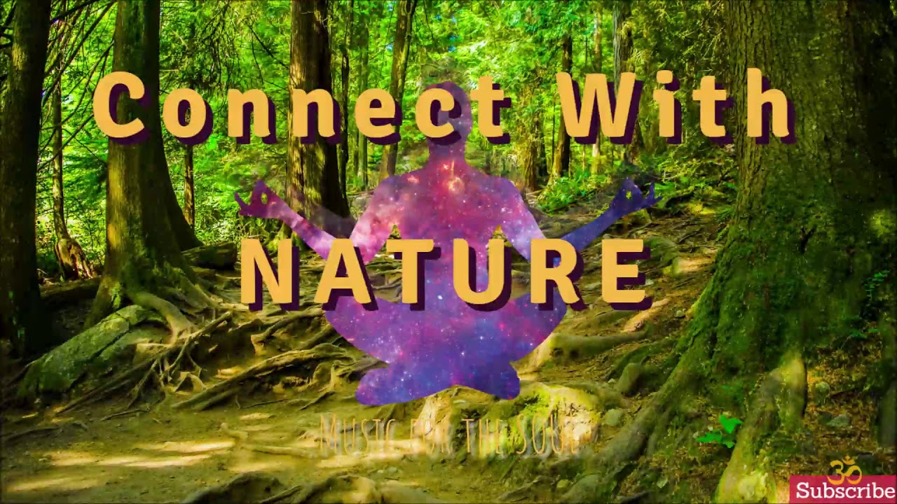 CONNECT with NATURE 🌲 MONAURAL Beats + ISOCHRONIC Tones ★ - YouTube
