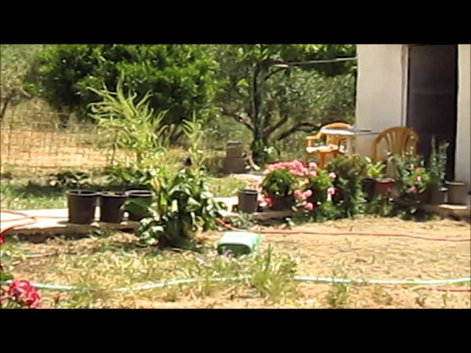 ΛΑΜΠΙΝΗ ΡΕΘΥΜΝΟ - YouTube