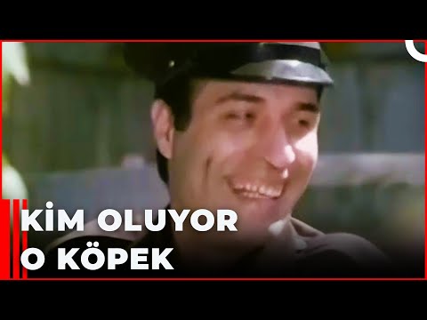 Ooo Sıradan Geçirir😂 | Bekçiler Kralı