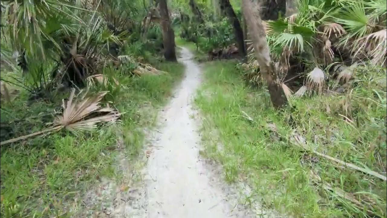 Sandy Path on River Trail on Econlockhatchee River at Little Big Econ State Forest! Geneva ...