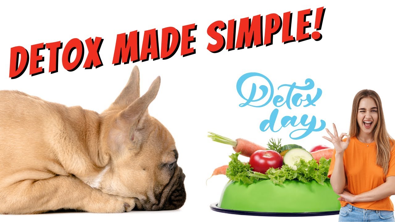 SIMPLE WAYS to Detox Your Dog - YouTube