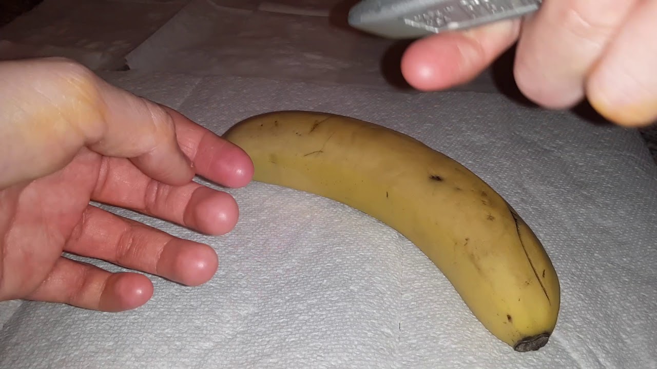 Surgery on a Banana! - YouTube
