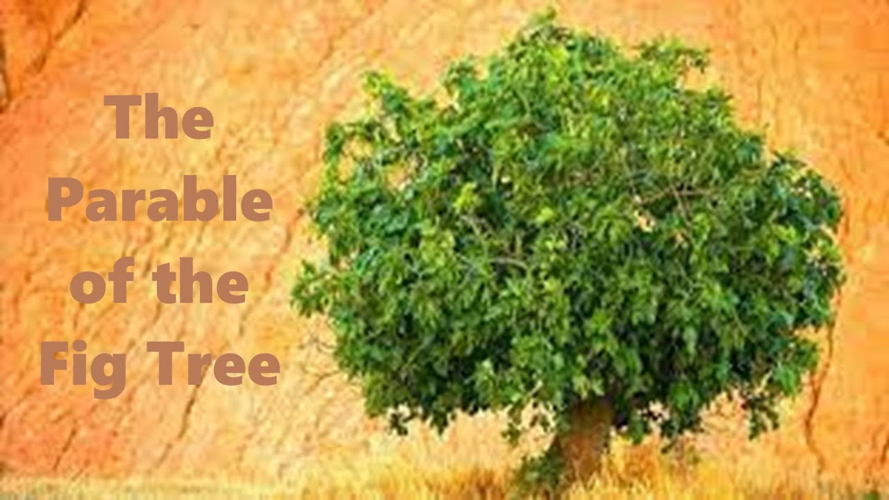The Parable of the Fig Tree Part 2 - YouTube