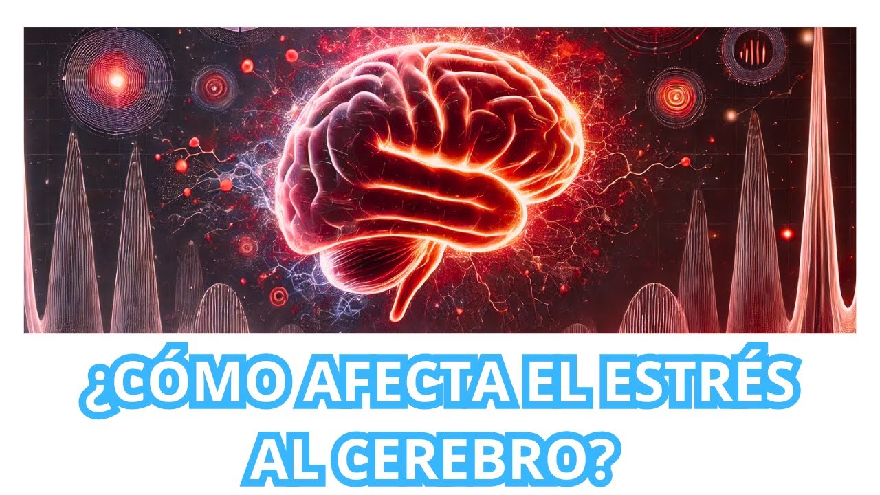 ¿Cómo afecta el estrés al cerebro Descubre su impacto 🧠 Investigación ...