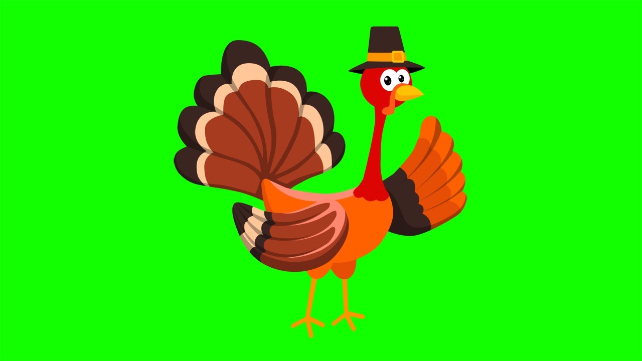 Thanksgiving Cute Turkey #2 Green screen - YouTube