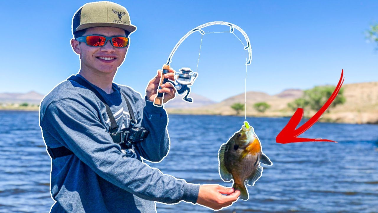Catching MONSTER Bluegill w/ MICRO ROD (Easy Boneless Fillet Trick ...