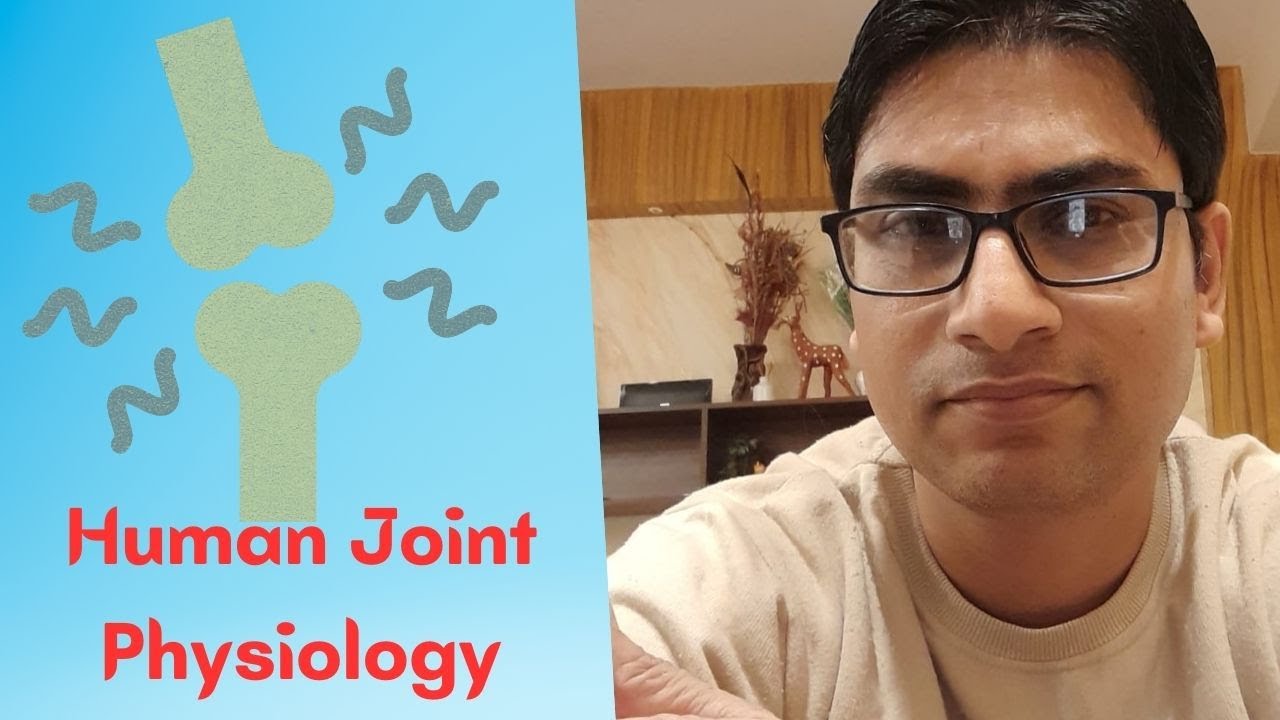 Human Joint Physiology - YouTube