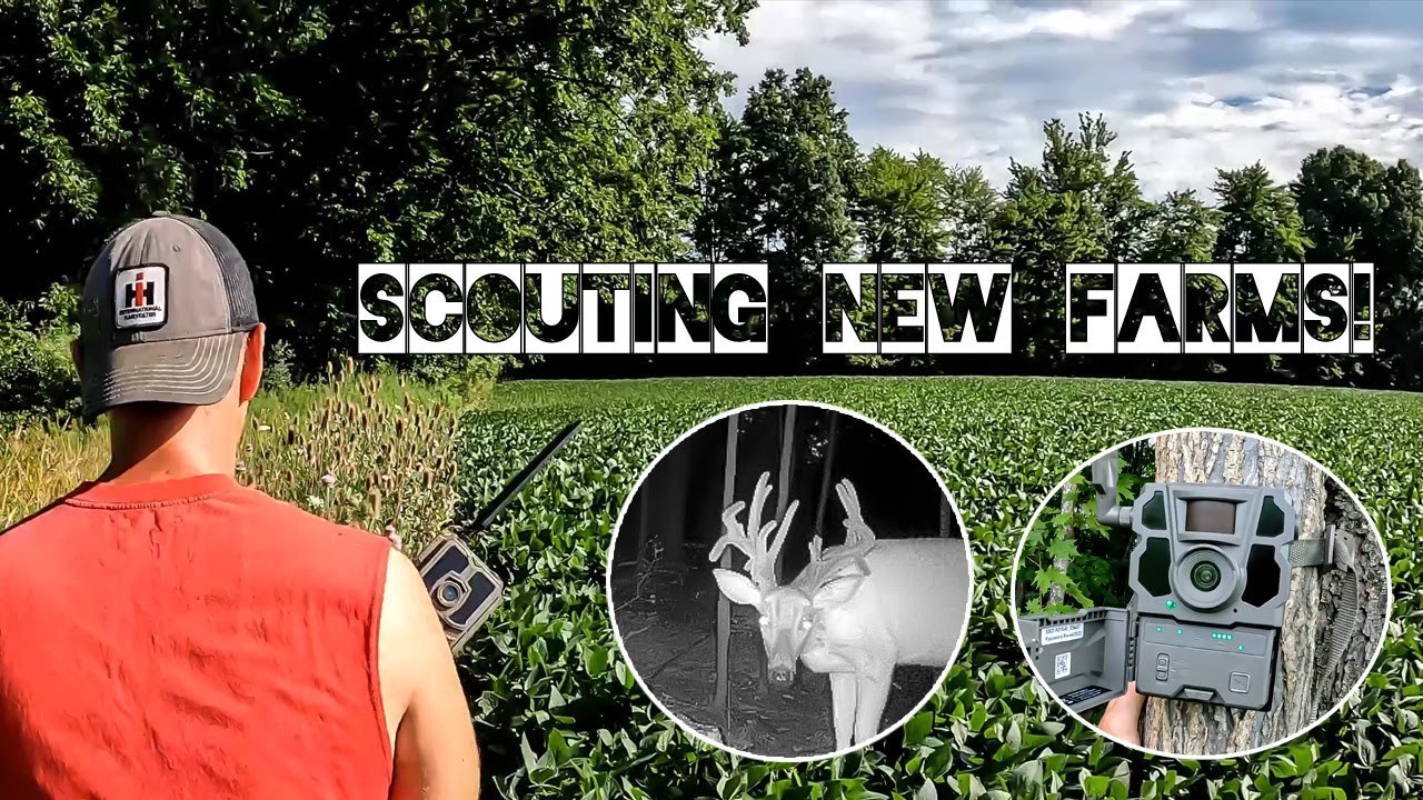 Scouting NEW FARMS! | SBO LIVE MINISODE #120 - YouTube