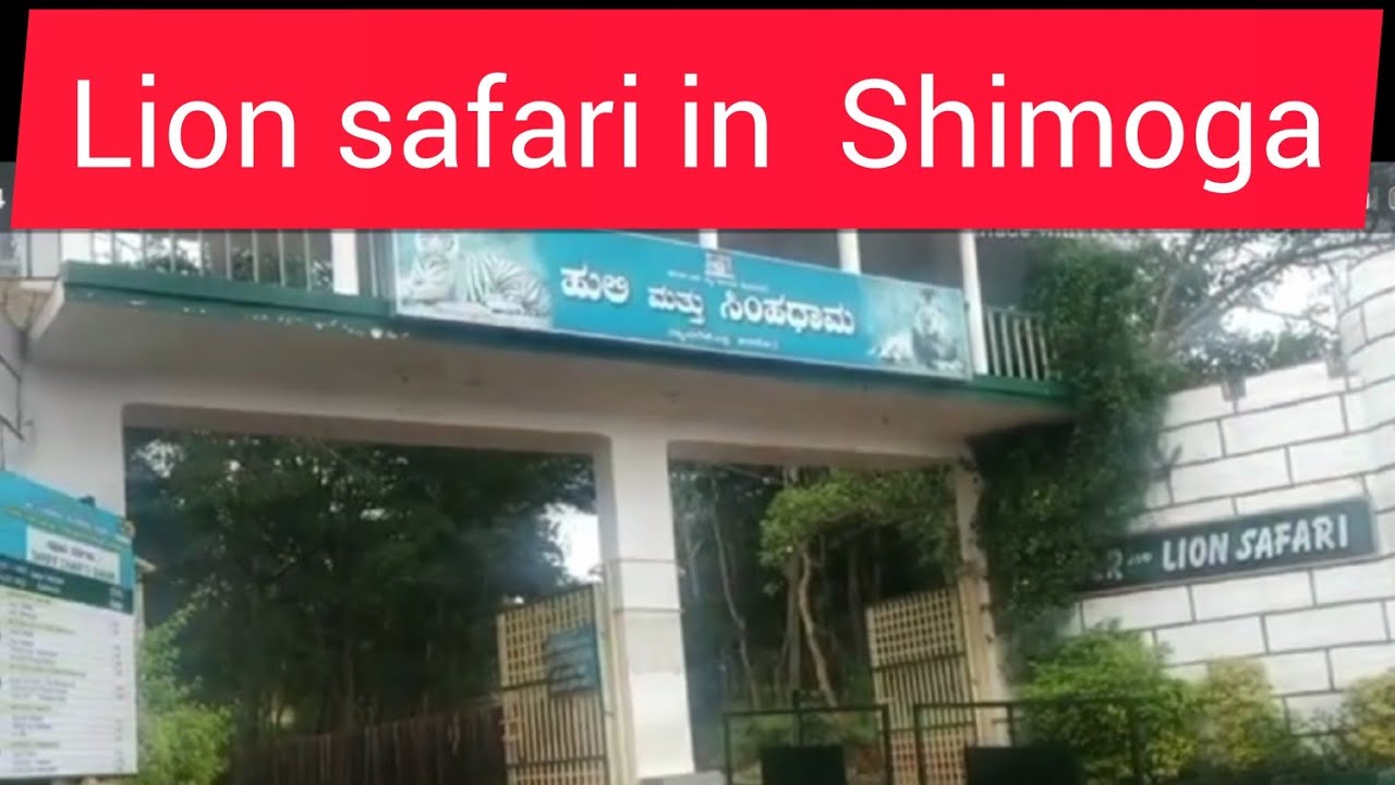 Lion safari in Shimoga district tavarekappa#entrance fees rs 80 timings ...