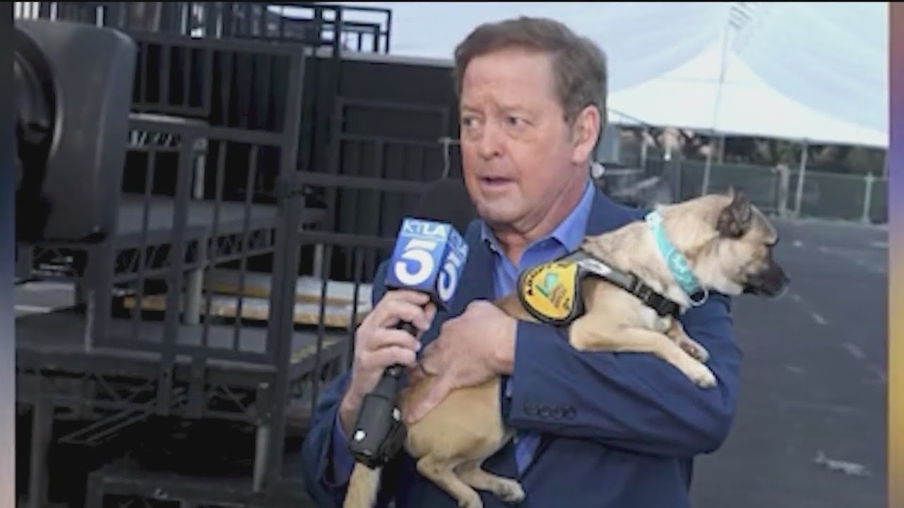 Sam Rubin, KTLA 5 Morning News legend, WGN contributor, dies at 64 ...