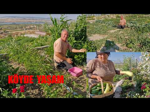 KÖYDE YAŞAM BAHÇEMİZDE HANĞİ ÜRÜNLERİMİZİN HASTINI YAPIYORUZ HATİCE HANIMLA